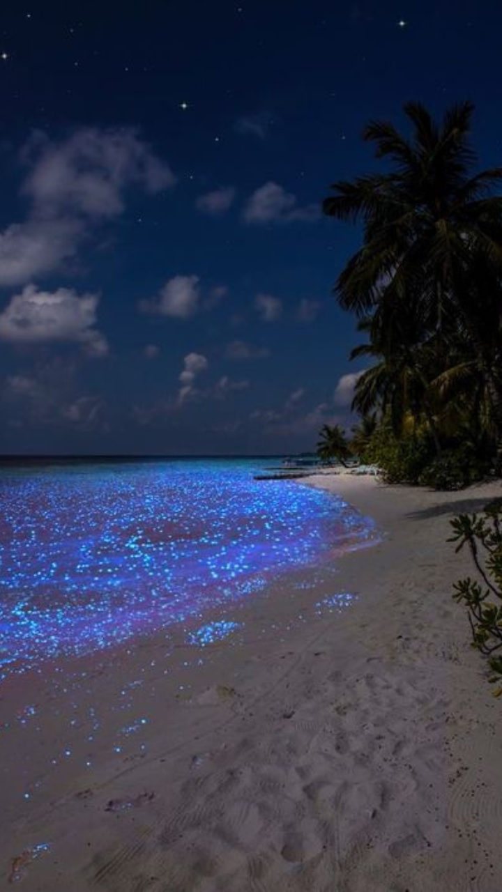 Caribbean Beaches At Night
