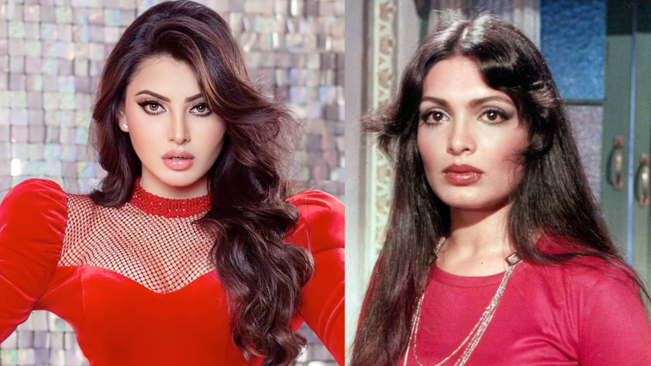 Jacqueline Fernandez Is Sukesh Chandrasekhar's 'Baby Girl' In New ...