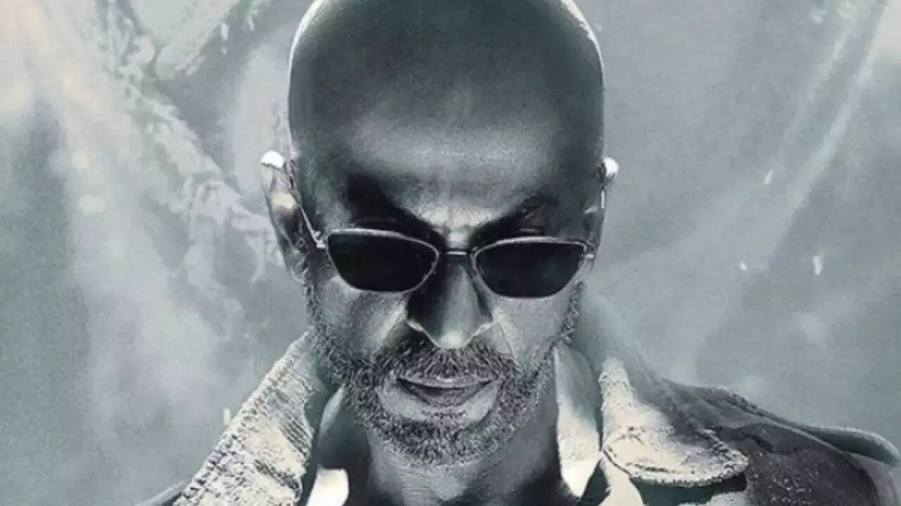 Top 10 Highest Rated IMDb Hindi Films Of 2023: Jawan, Leo And More