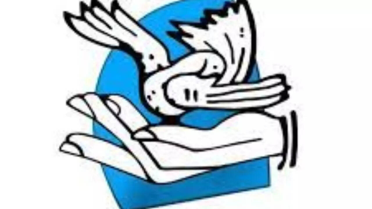 Elvish Yadav Arrested In Snake Venom Case: All About What Happened In ...