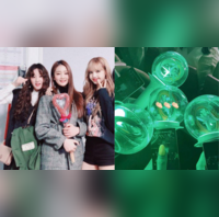 Blackpink's Lisa spotted at Stray Kids' Seoul concert with (G)I-DLE’s ...