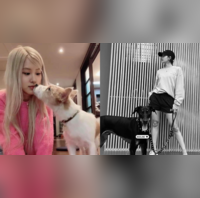 As Rosé and Lisa's doggos sport designer leashes, it is evident that ...