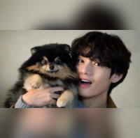 Make way for Tannie! BTS' V shows off all the tricks his little doggo ...