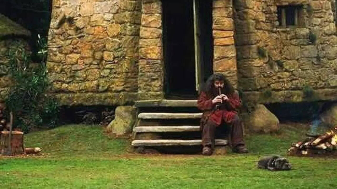 Harry Potter Actor Rupert Grint Remembers Robbie Coltrane No One Else