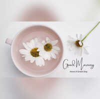 Monday morning images and quotes for a good day, Lifestyle News | Zoom TV