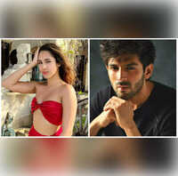 Karthik Aaryan to get engaged with Pashmina Roshan on New Year?- नए साल पर पश्मीना रोशन संग सगाई ...