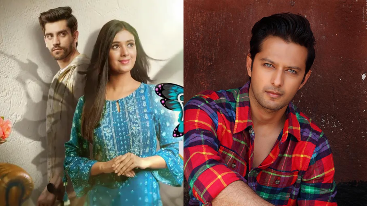 Vatsal Seth, Avinash Mishra and Neha Solanki starrer serial Titli will ...