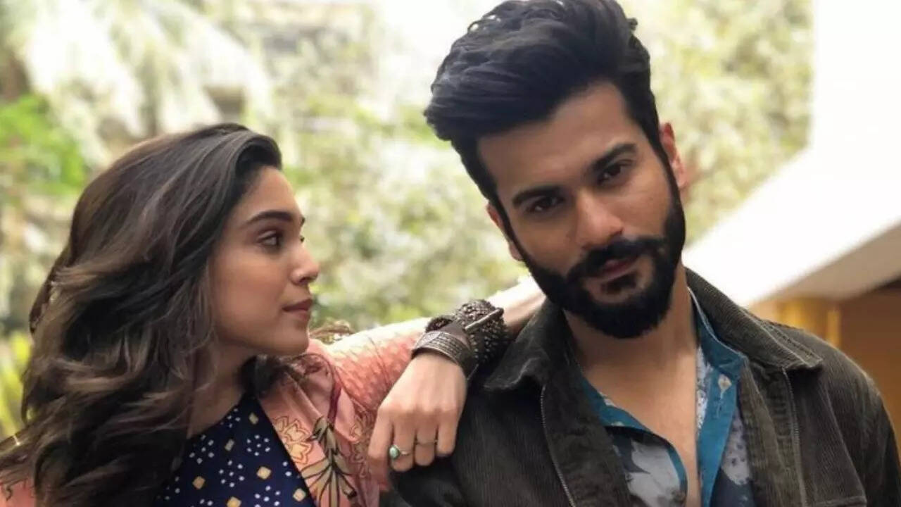 Sunny Kaushal, Sharvari Wagh's Rumoured Relationship: On Dating Rumours ...