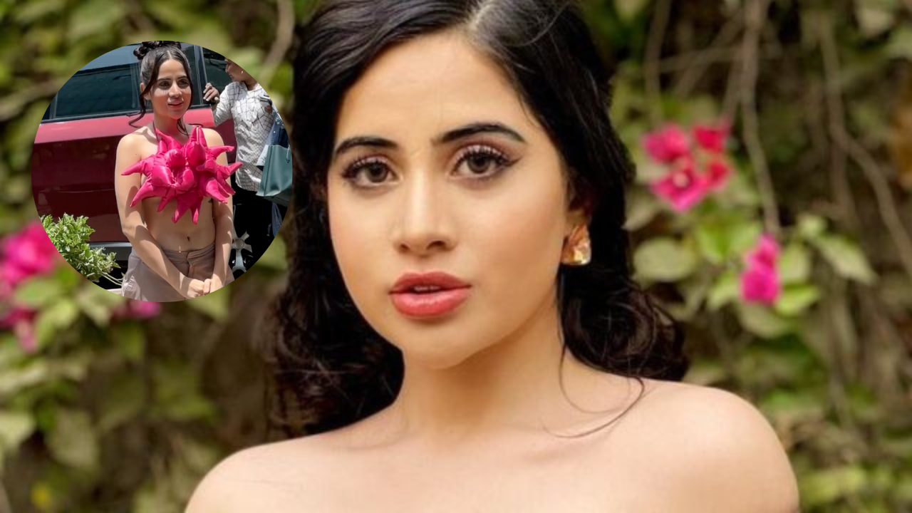 Urfi: Urfi Javed Dons Backless Pink Crop Top In Mumbai’s Heat. Netizens ... Urfi: Urfi Javed Dons Backless Pink Crop Top In Mumbai’s Heat. Netizens ...
