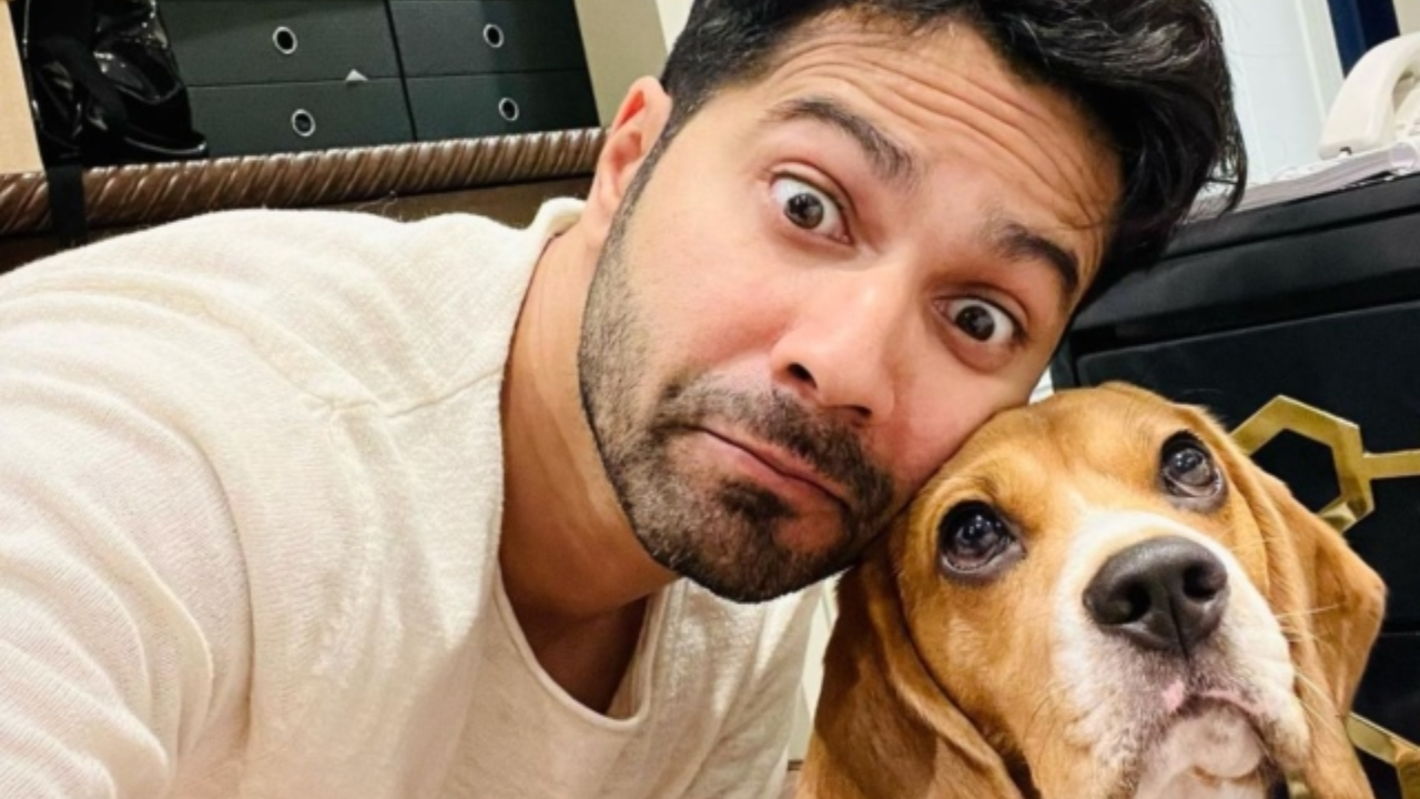 Varun Dhawan REVEALS His Dog Puts Him Through Most 'Grounding ...