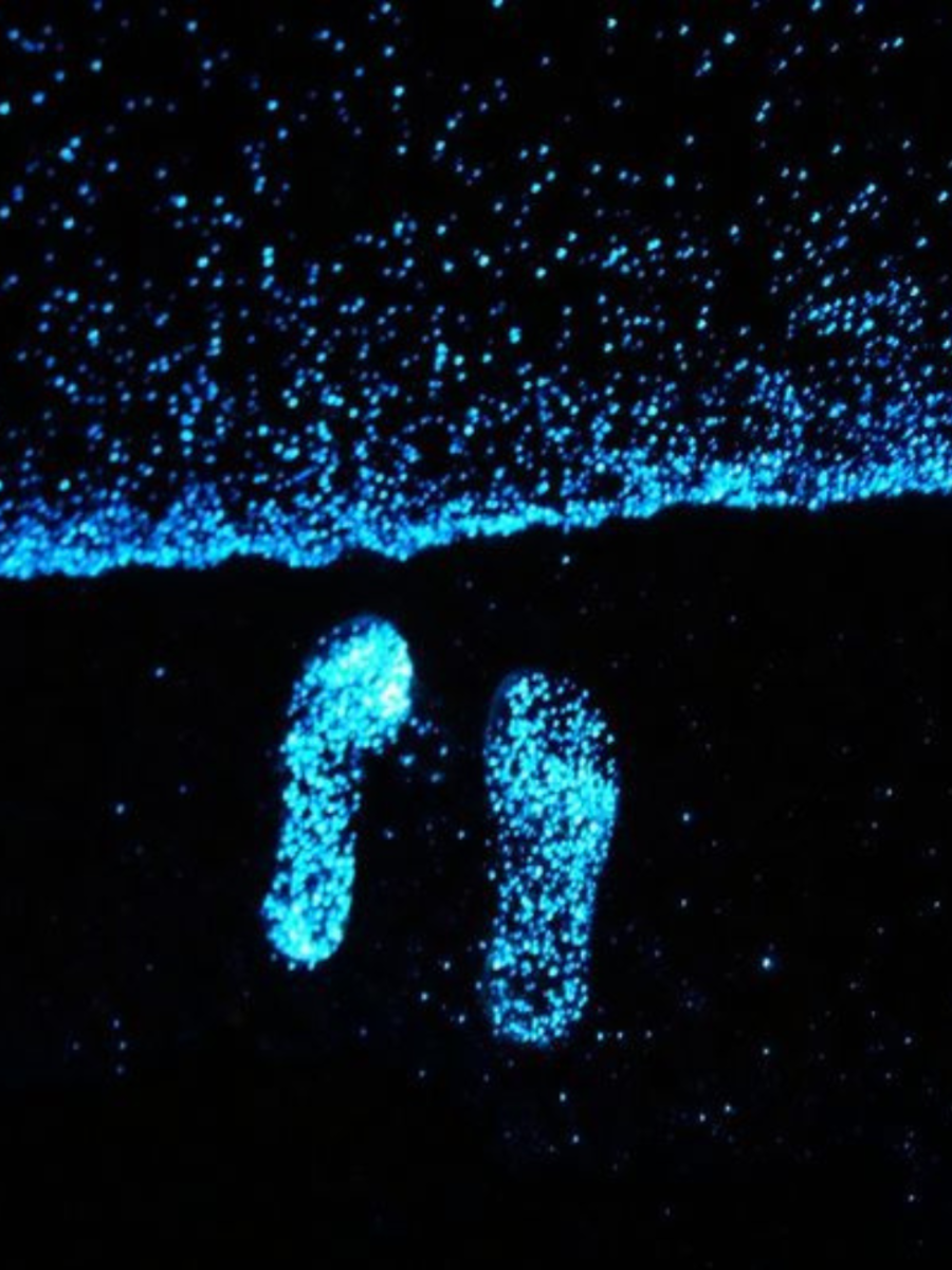 7 Bioluminiscent Beaches That Glow At Night