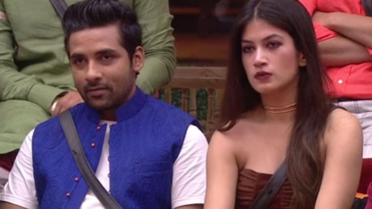 Bigg Boss Lovebirds Bandgee Kallra, Puneesh Sharma Call It Quits After ...