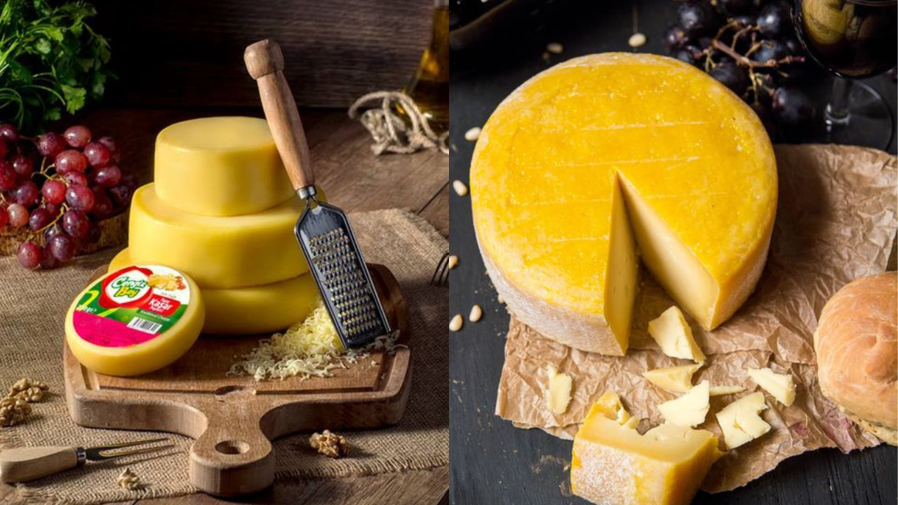 5 Most Expensive Cheeses In The World, Lifestyle News | Zoom TV