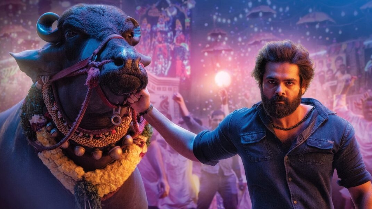 Skanda OTT Movie Review: Boyapati Sreenu, Ram Pothineni Film Tests ...