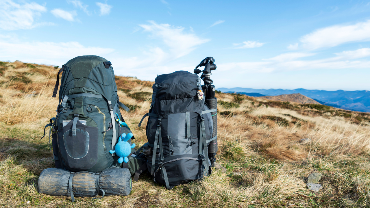 Useful Travel Essentials to Pack in Your Backpack, Travel News | Zoom TV