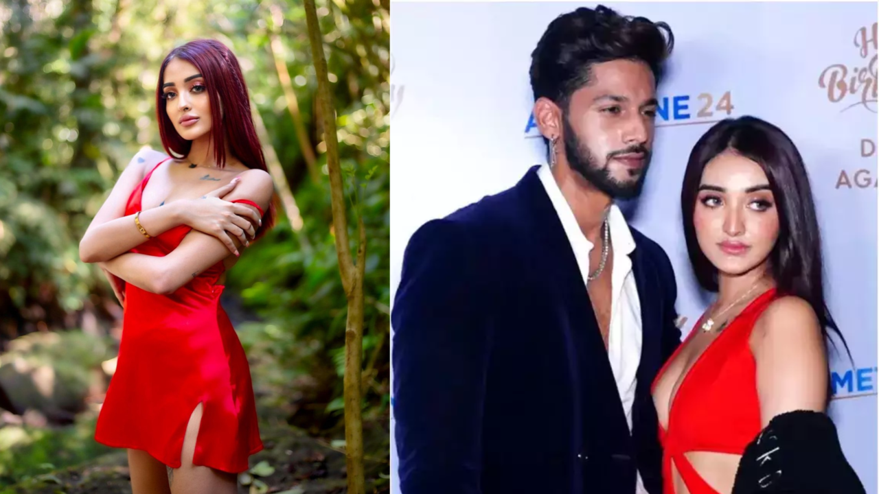 Worst Relationship Ever! Kundali Bhagya Fame Baseer Ali's Ex-GF Nikita ...