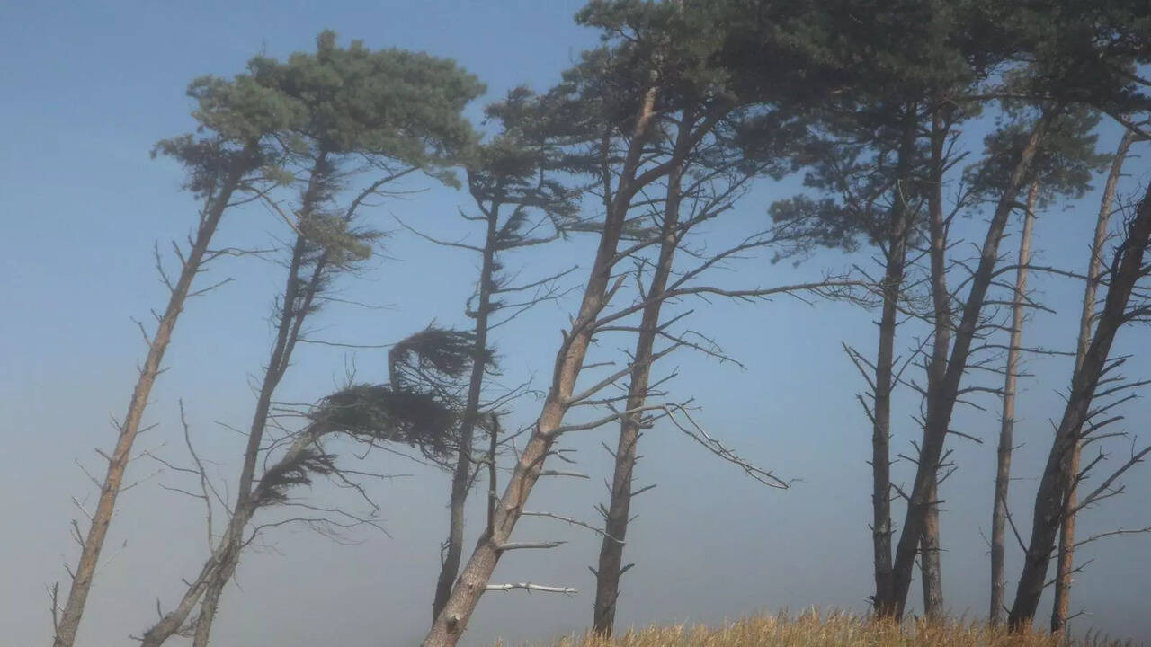 Jaw-Dropping Video Of Woman Soaring With Wind, Getting Slammed Into ...