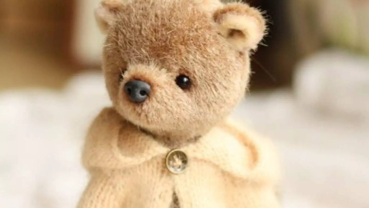 Teddy Day 2024: Date, Significance, History And Everything You Need To ...