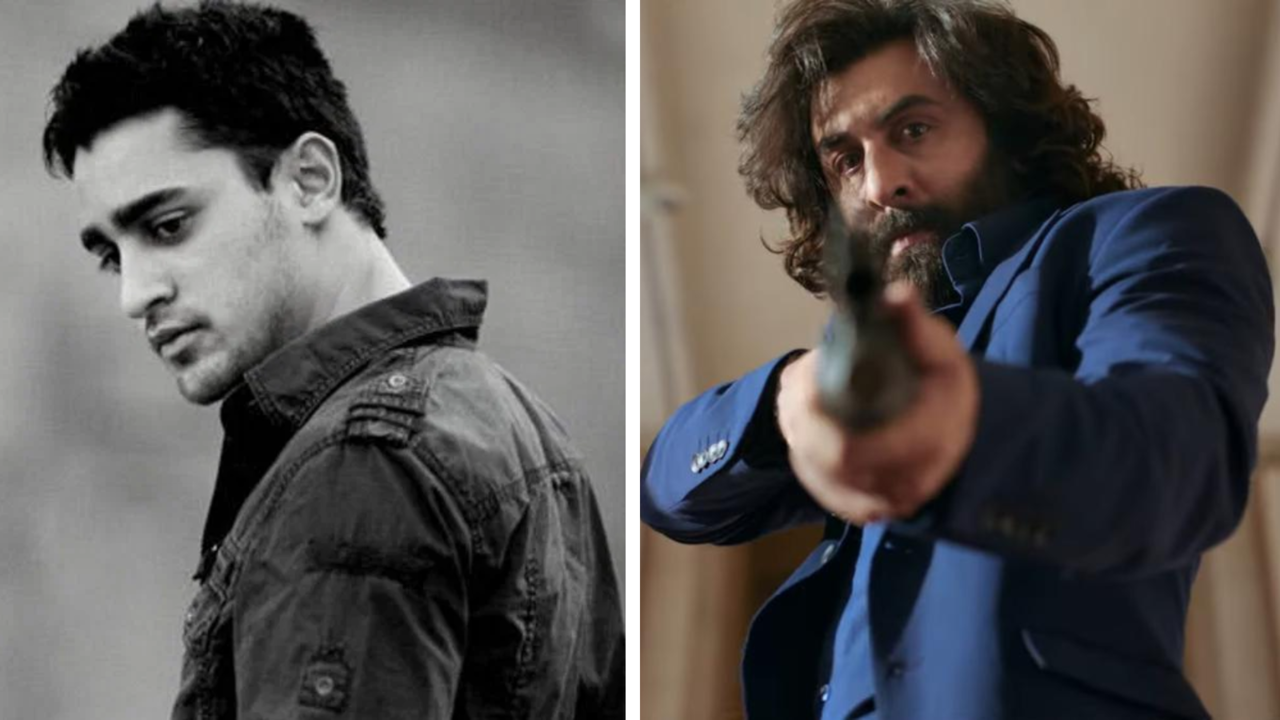 Imran Khan's Indirect Dig At Ranbir Kapoor, Sandeep Reddy Vanga's ...