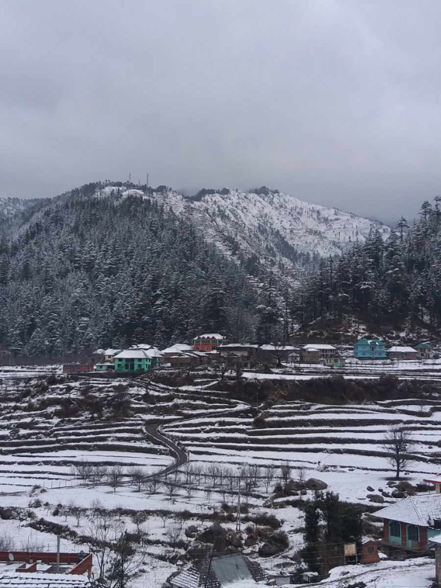 Snowfall starts in Shimla: Pics to get you excited for winter