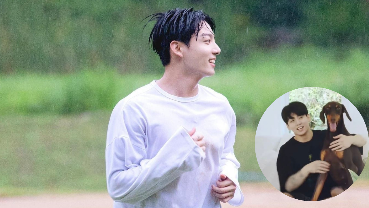 Jungkook's dog Bam has been stealing all the spotlight in BTS in the ...