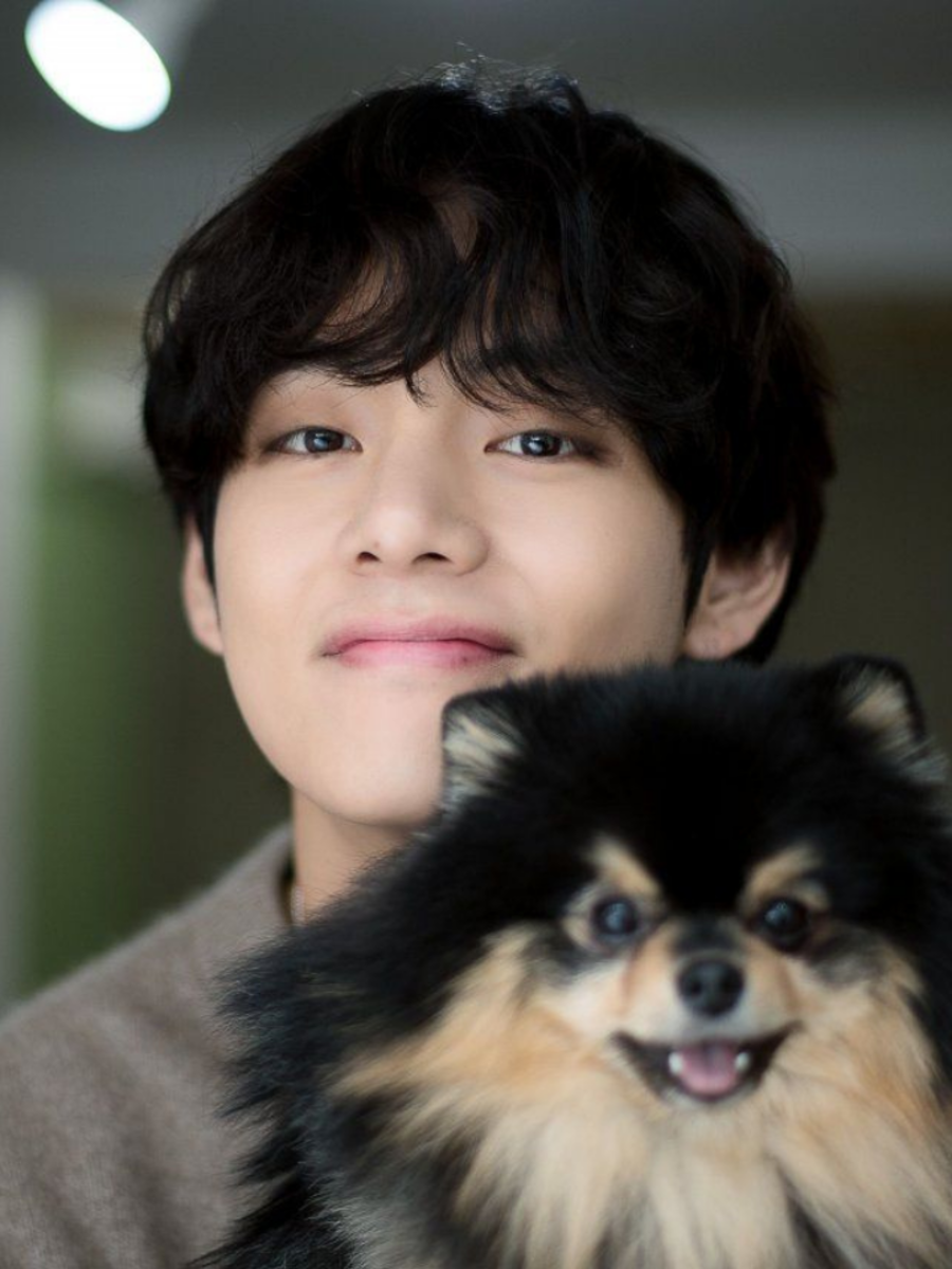 BTS with their pets: An adorable saga