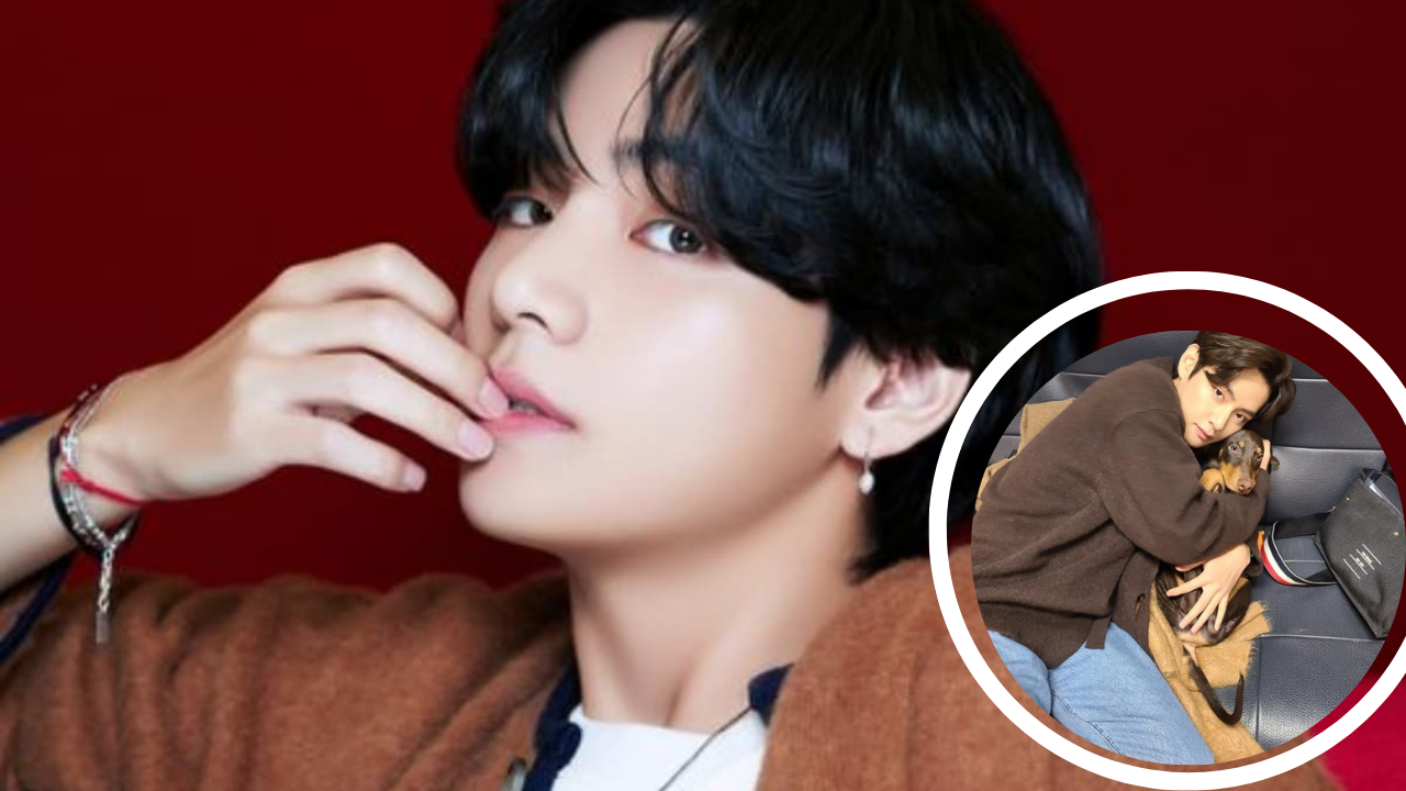 BTS' V gives a peek of Jungkook's dog Bam as a puppy and it's the ...