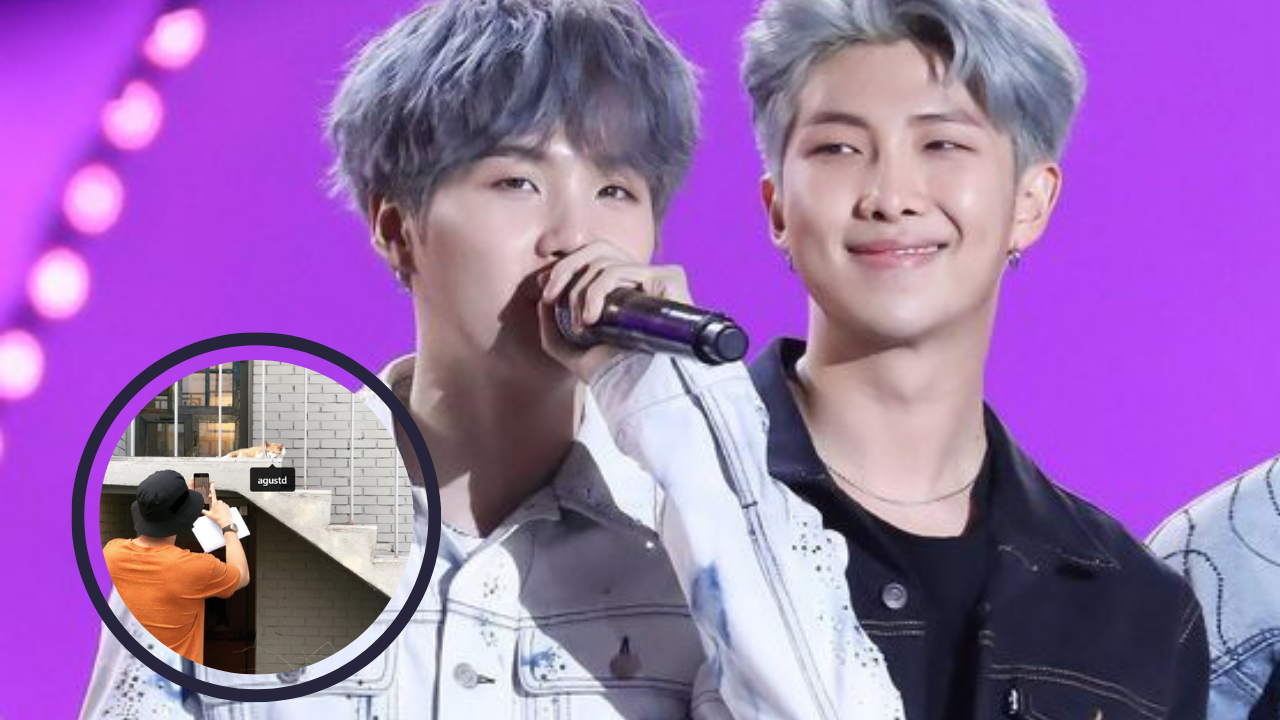 BTS' little meow Suga just can't catch a break and here's RM proving it ...