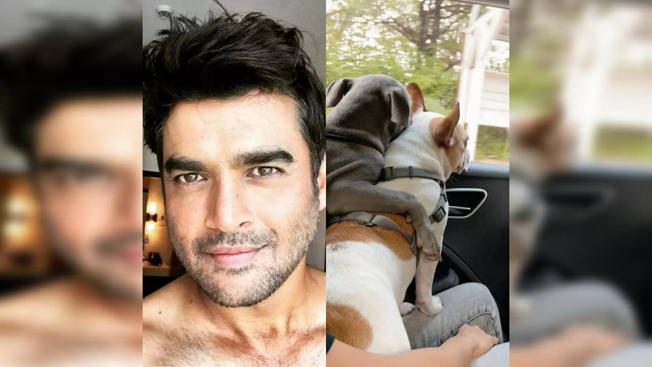 Top South News Today: R Madhavan reacts to viral shirtless pictures ...