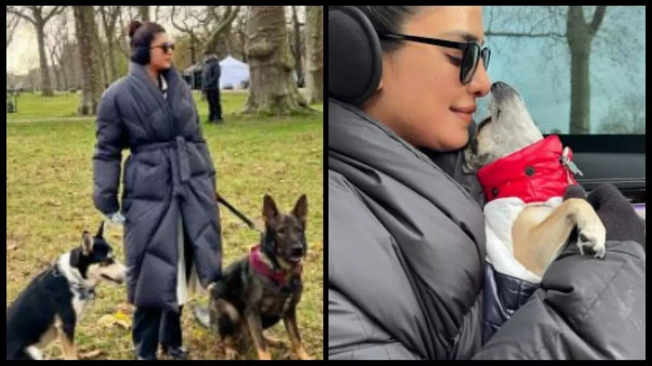 It's bring your dog to work day! Priyanka Chopra takes Diana, Gino and ...