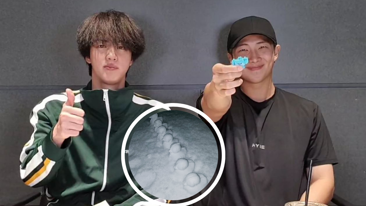 BTS' leader RM may have broken the DTS moulds, but Jin has a simple ...