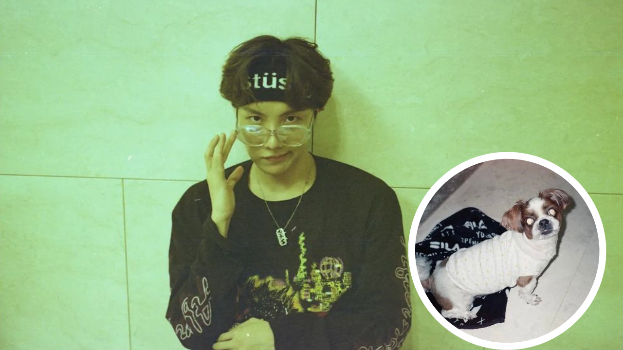 BTS member J-Hope's furry friend Mickey finally makes his Instagram ...