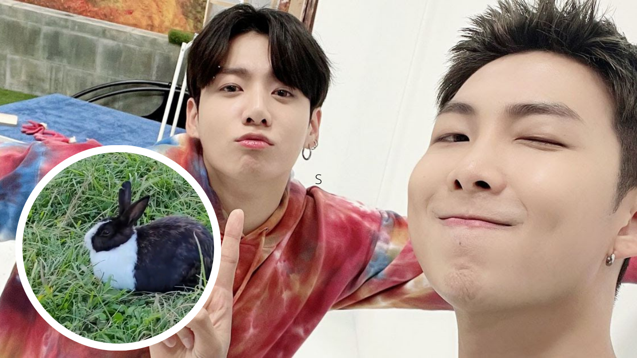 BTS ARMY 'spots Jungkook' as RM treats fans to adorable New Year snaps ...