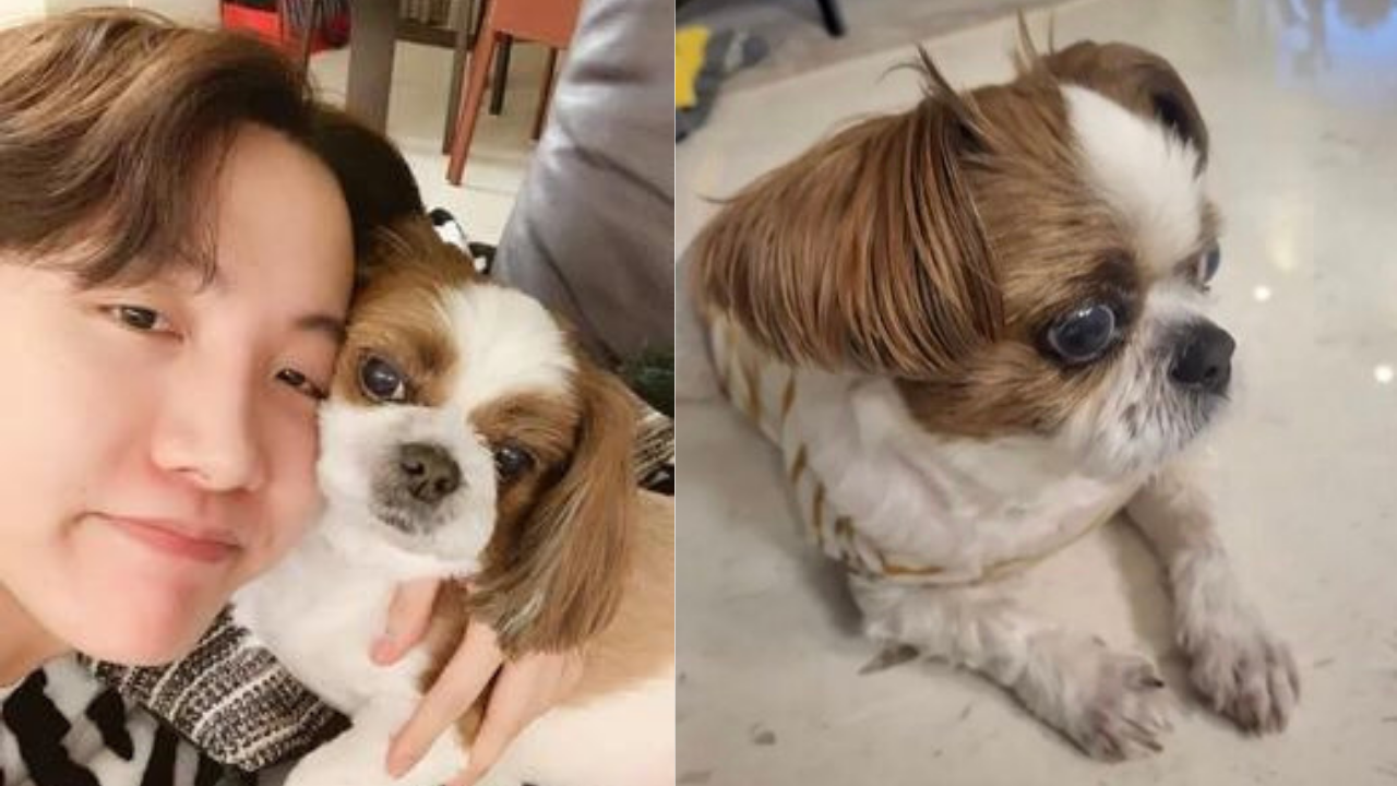 J-Hope turns paparazzi for Mickey as BTS rapper shares adorable pics of ...