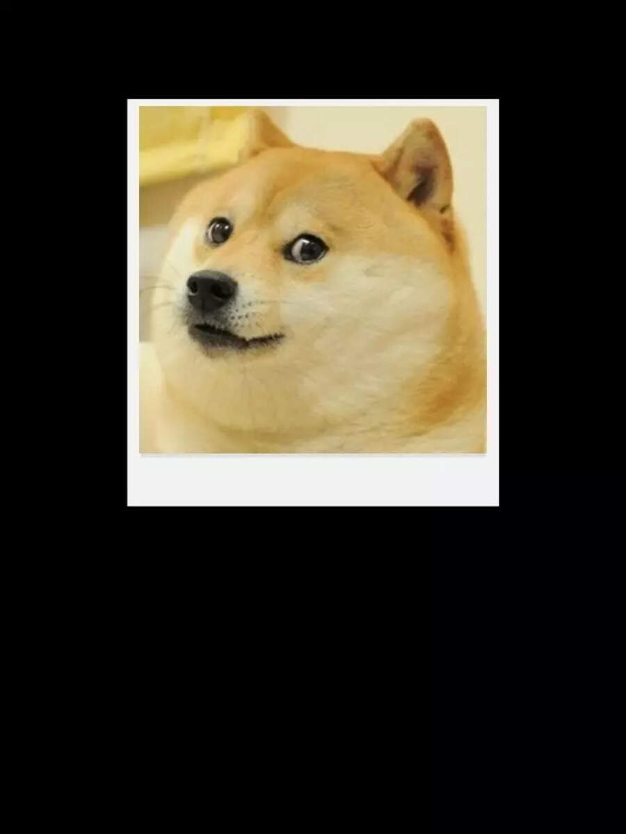 9 iconic memes that are history now | Times Now