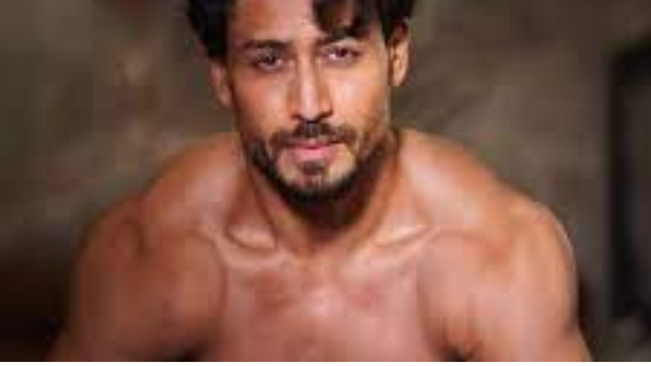 Is War 2 on the cards? Tiger Shroff's latest post makes netizens wonder ...