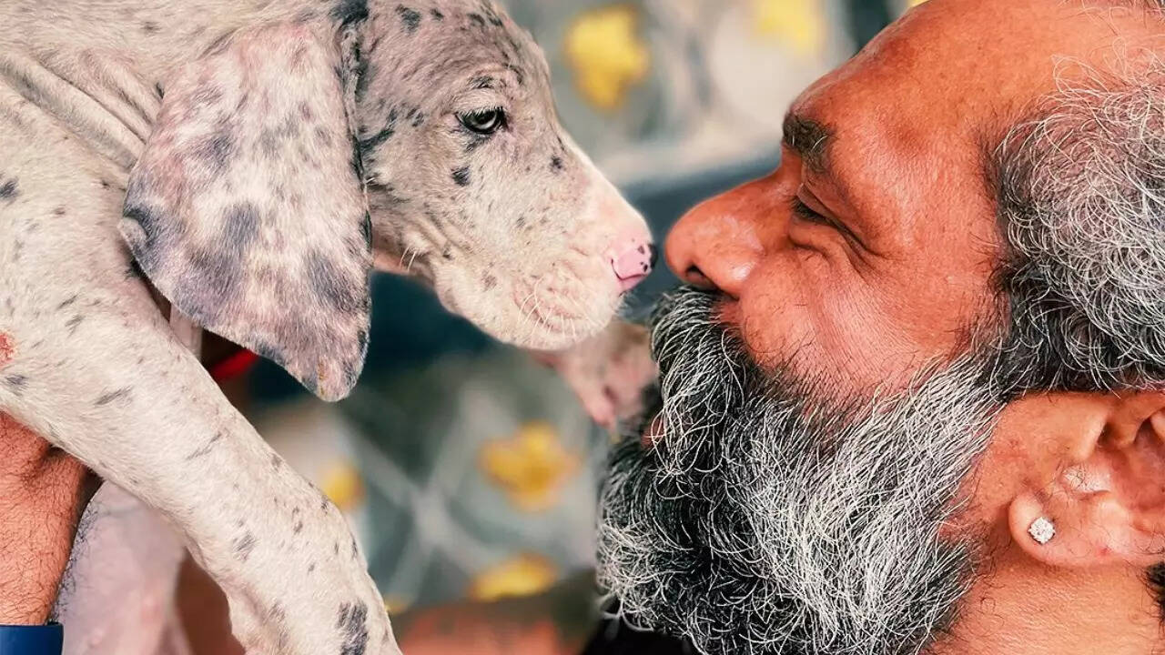 Avinash: KGF actor BS Avinash meets with a car accident in Bengaluru ...