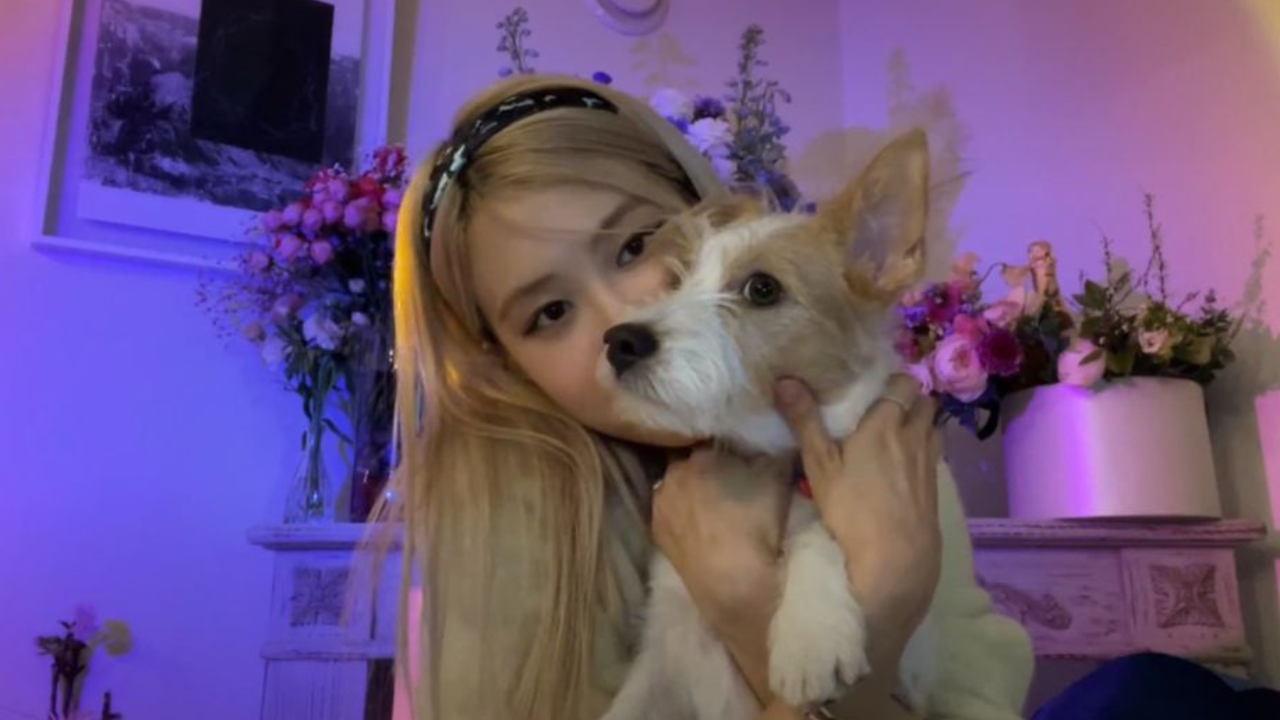 Blackpink's Rosé is every struggling dog mom ever as she tries to film ...