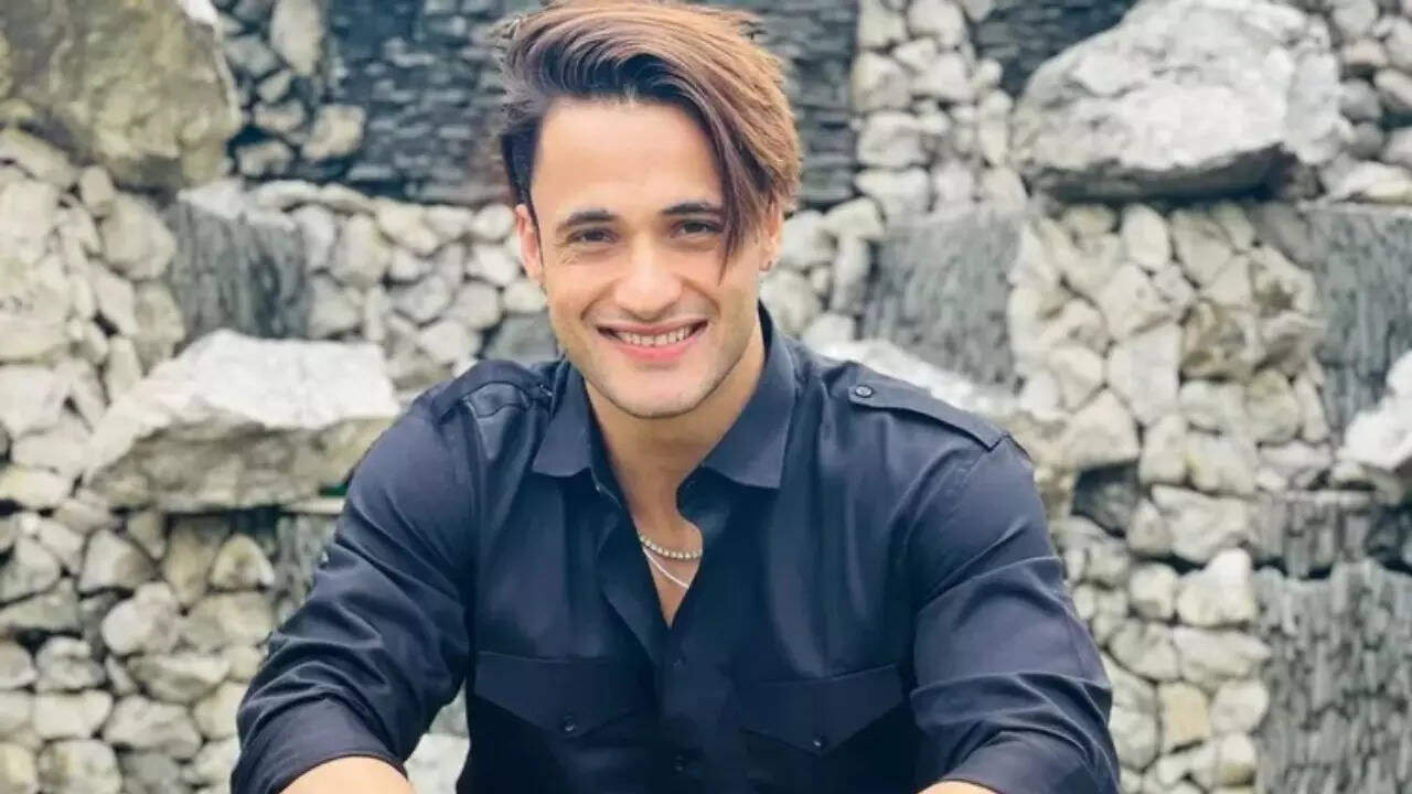 Bigg Boss 13 fame Asim Riaz opens on fake promises, movie deals; says ...