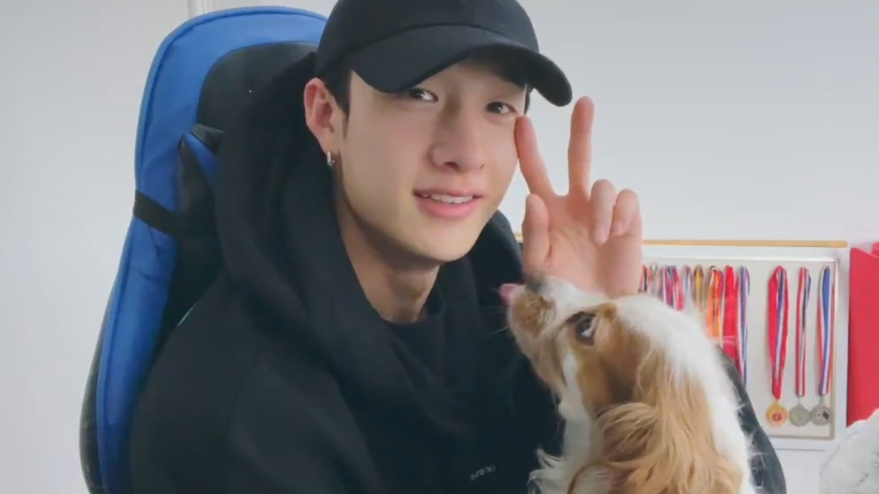 Stray Kids' Bang Chan meets doggo Berry after three years; their ...