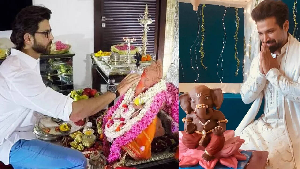 Hrithik Roshan, Rithvik Dhanjani, Dia Mirza and other stars who ...