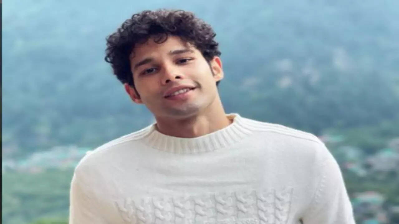 Siddhant Chaturvedi dances to ‘Oo Antava’ song at Ganpati visarjan ...