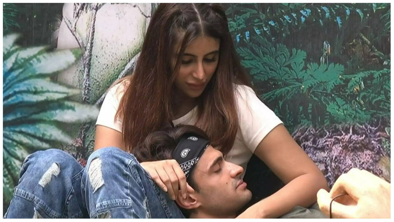 Bigg Boss couple Ishaan Sehgal and Maisha Iyer broke up- बिग बॉस कपल इशान सेहगल और माइशा अइय्यर ...