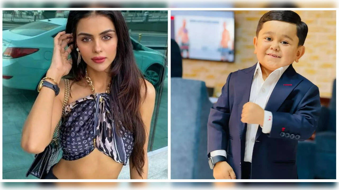 BB16 contestants Ranking by Ormax media: अब्दु रोजिक, टीना दत्ता और ...