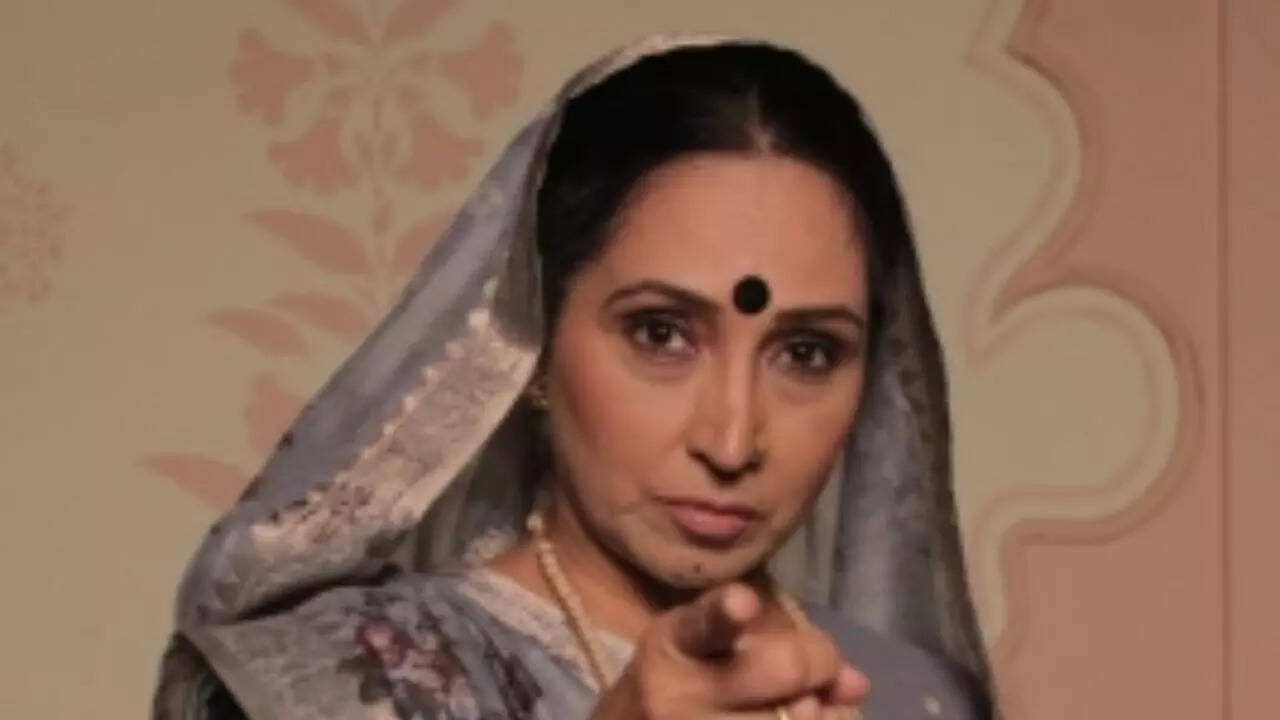 Ketki Dave: Balika Vadhu 2 actress Ketki Dave to play stern mother-in ...