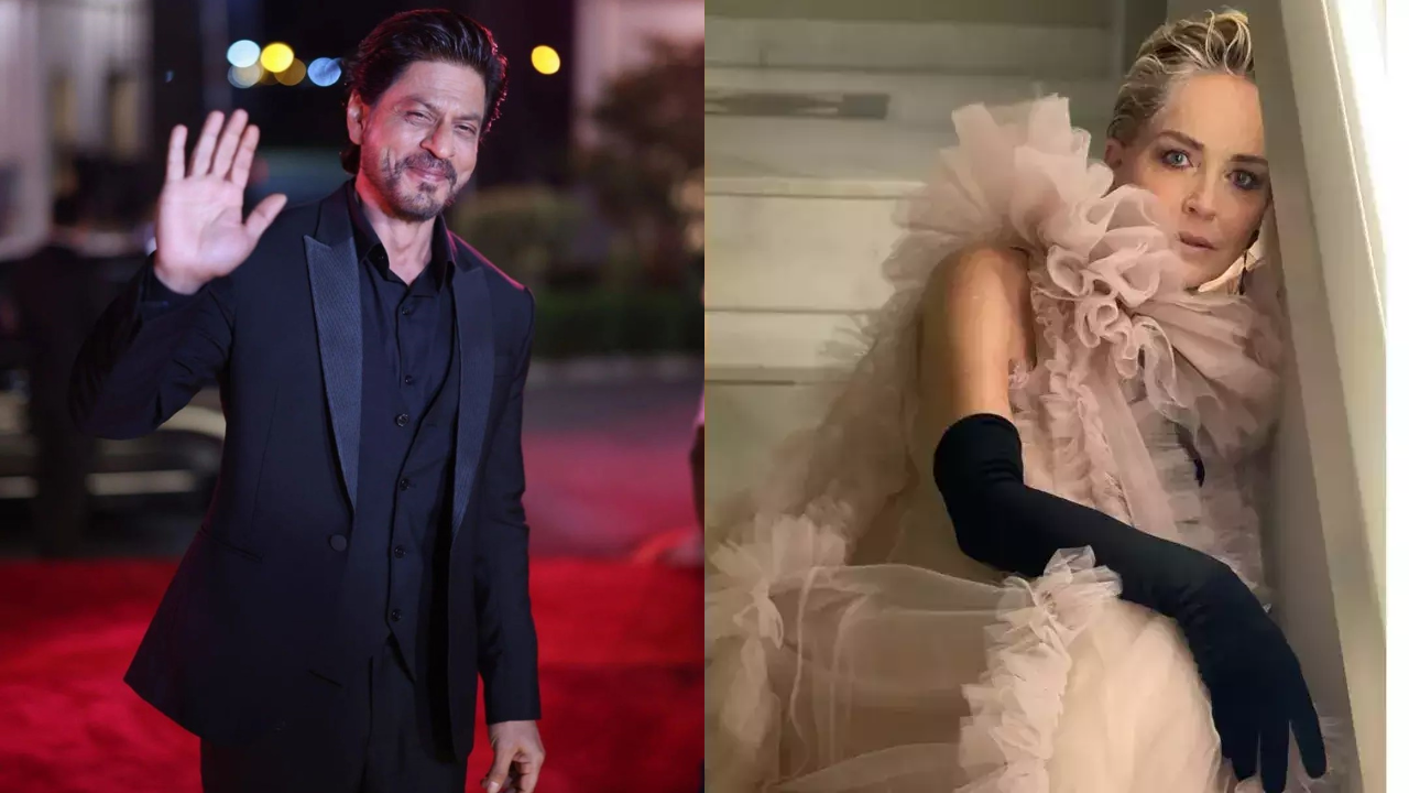 Sharon Stone's PRICELESS reaction on realising Shah Rukh Khan is ...