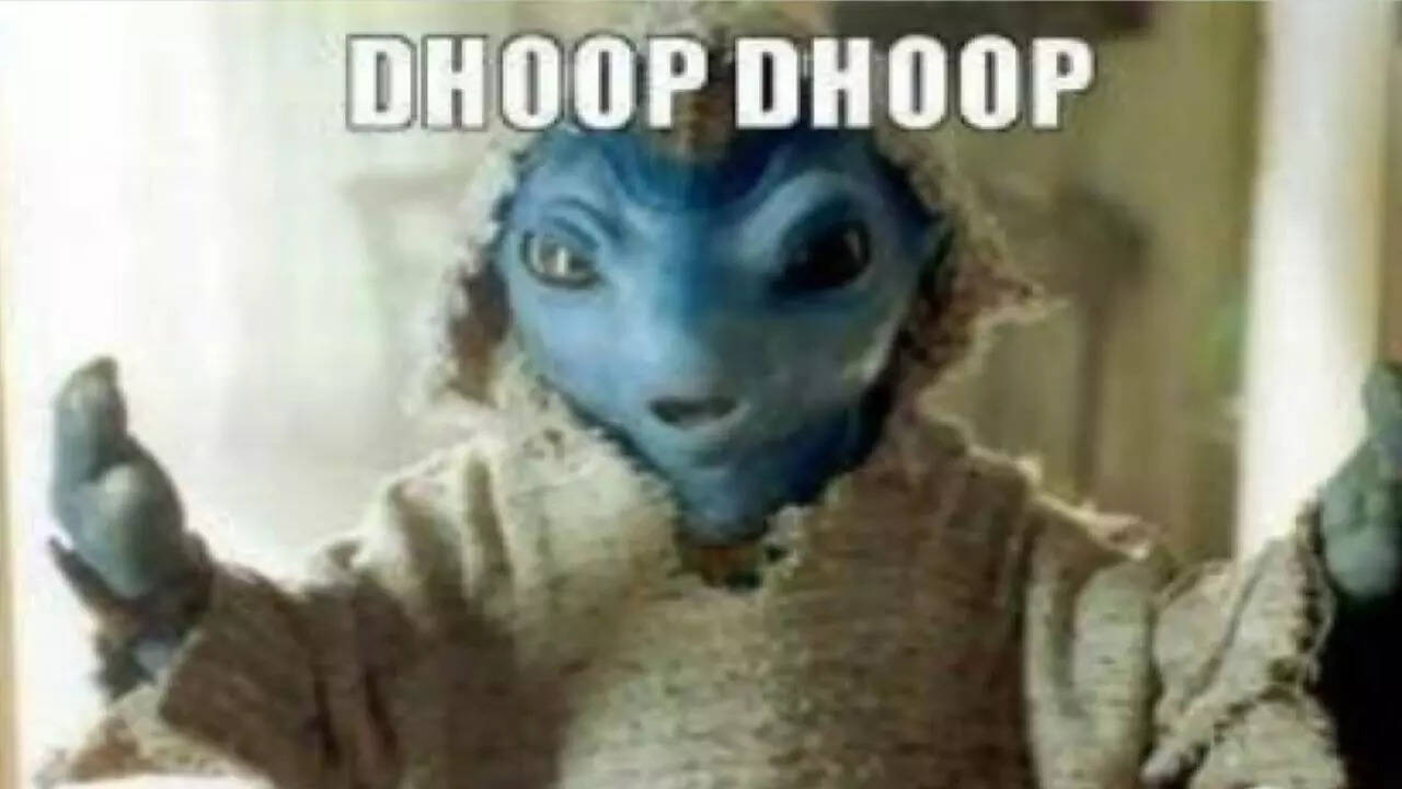 Delhi fog, bone-chilling cold wave winter flood Twitter with hilarious ...