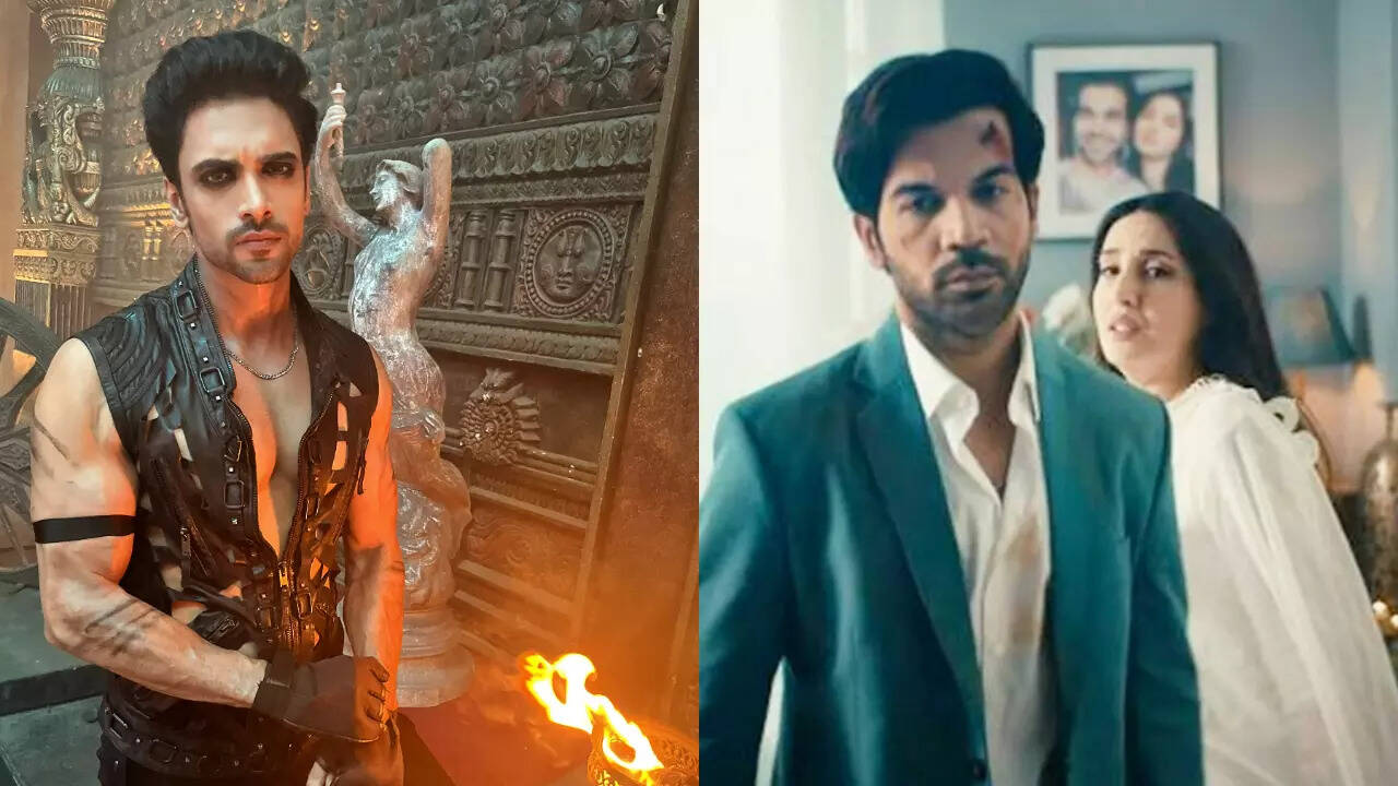 Exclusive! Aakash Ahuja on working with Nora Fatehi, Rajkummar Rao in ...