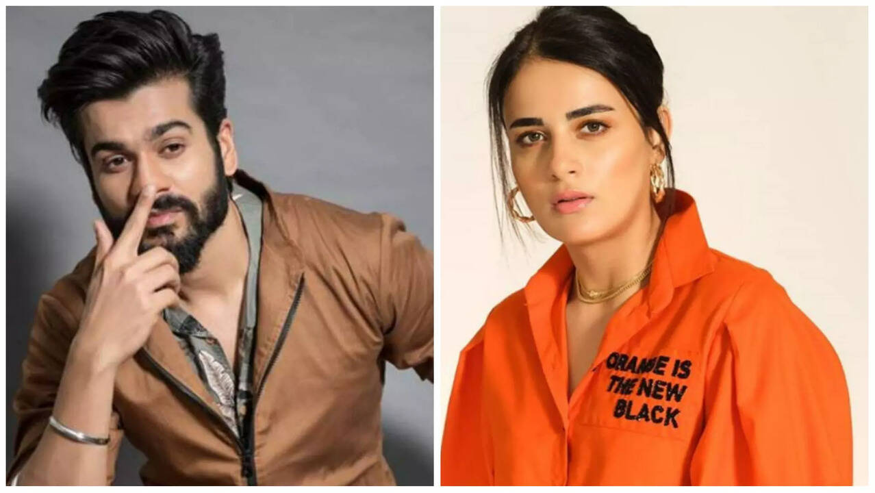 Sunny Kaushal Drop Out From Shiddat 2-सनी कौशल का 'शिद्दत 2' से कटा पत्ता, राधिका मदान निभाएंगी ...