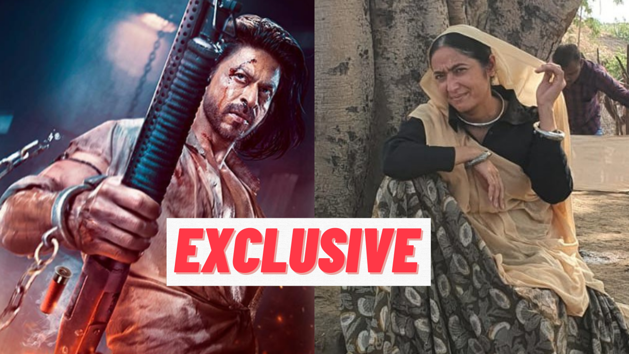 Gandhi Godse Ek Yudh's low box office collection is result of Shah Rukh ...